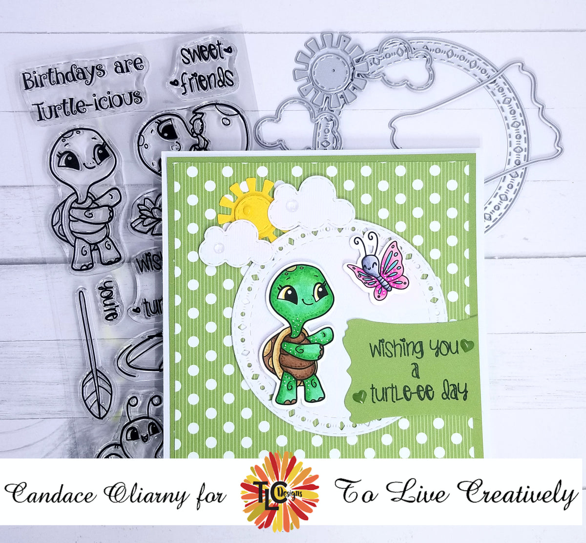 Turtle-icious – TLC Designs